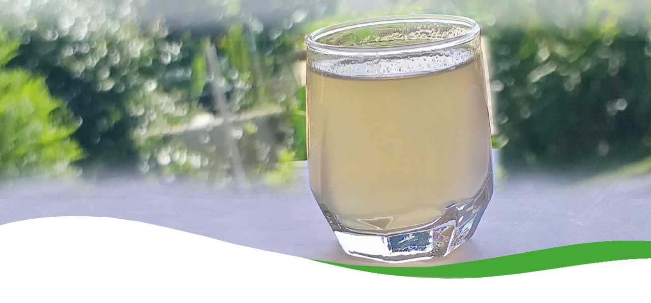 Neera - A Healthy Drink for Life, Natural Health Drink, Vitamin B ...